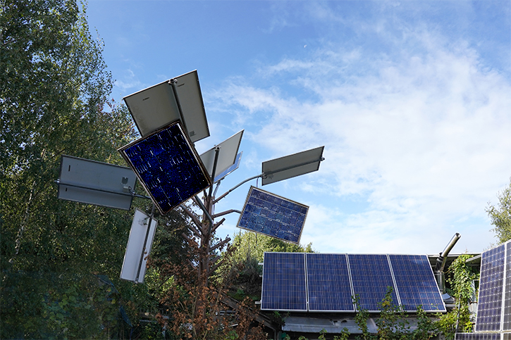 Bomen over energie - De Omslag | Energiecoöperatie